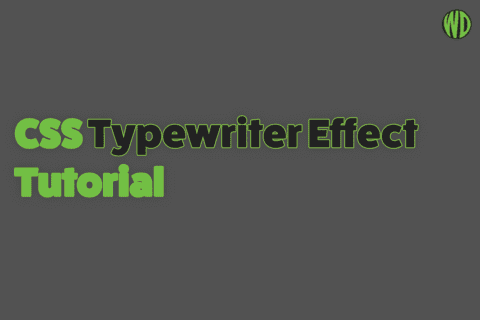 Typewriter Text Effect with HTML & CSS | Web Dev Digest